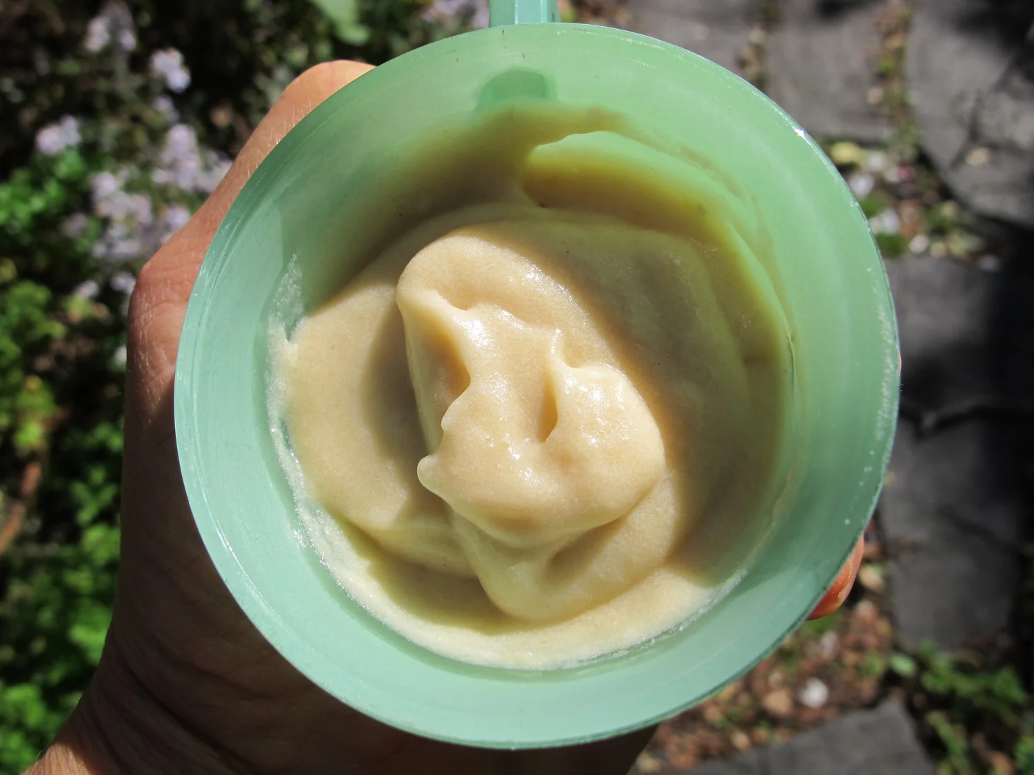 PAWPAW LOVE STILL FLOWING + PAWPAW COCONUT PUDDING — Foraging and Feasting
