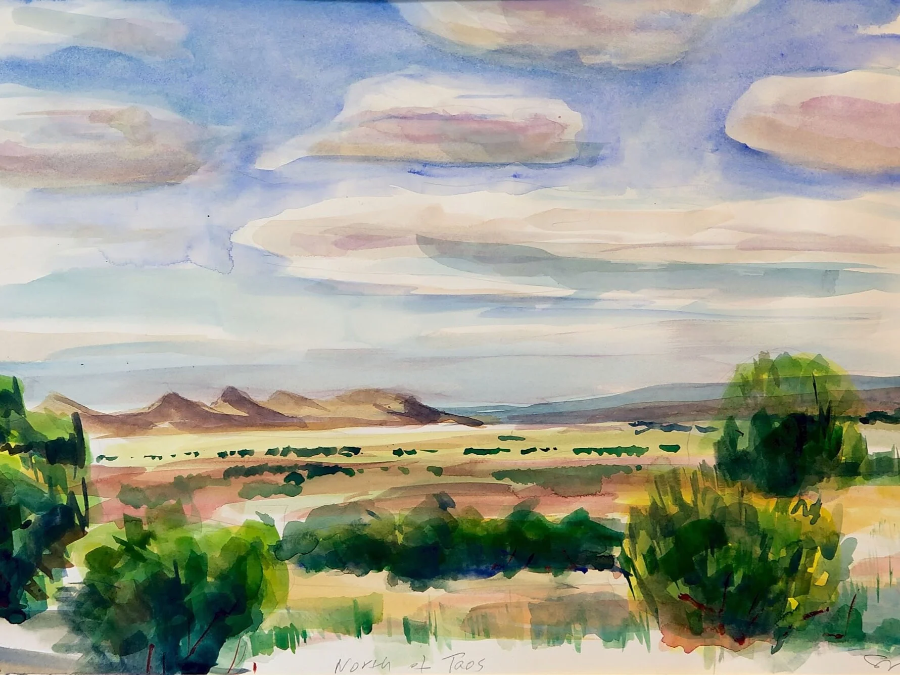 Artist — Sim Van der Ryn