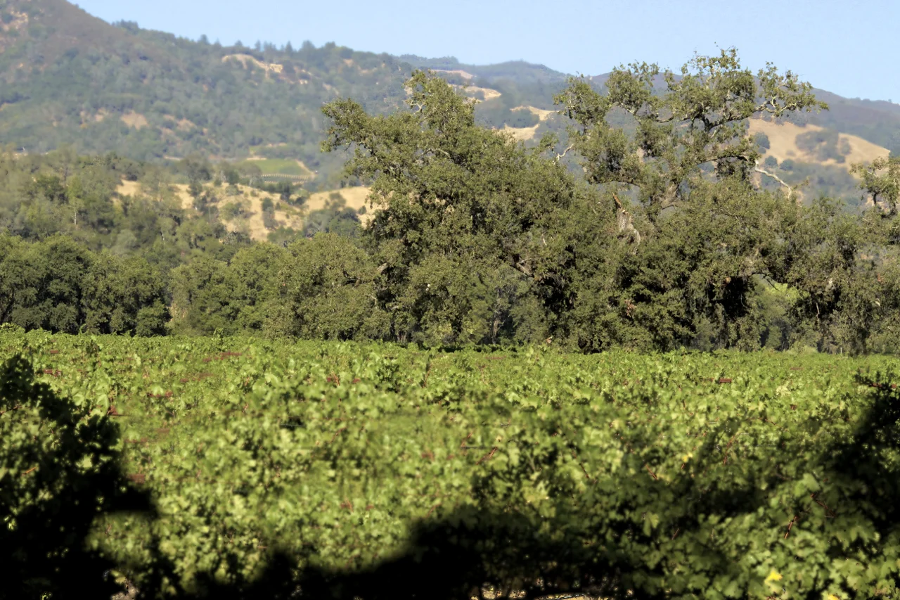 Location — Camp Navarro