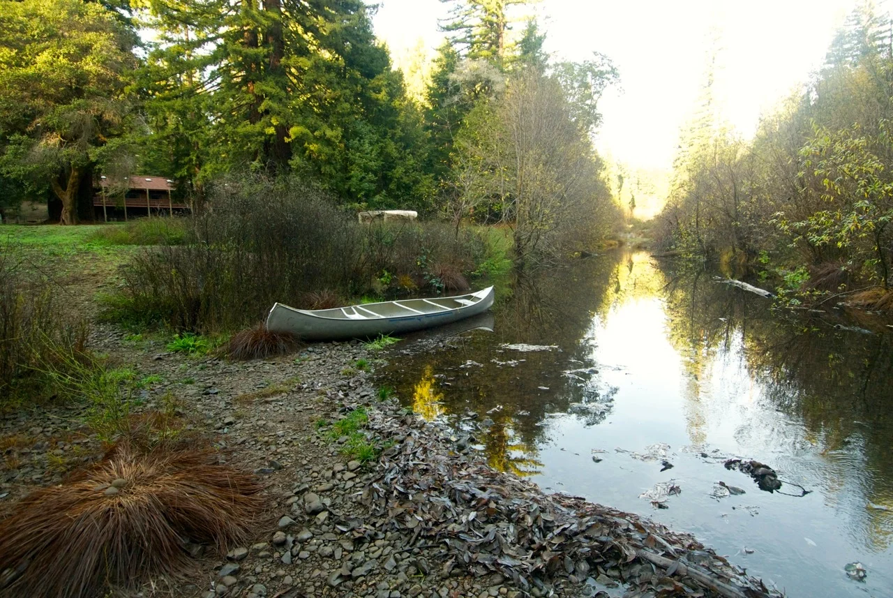 Stewardship — Camp Navarro