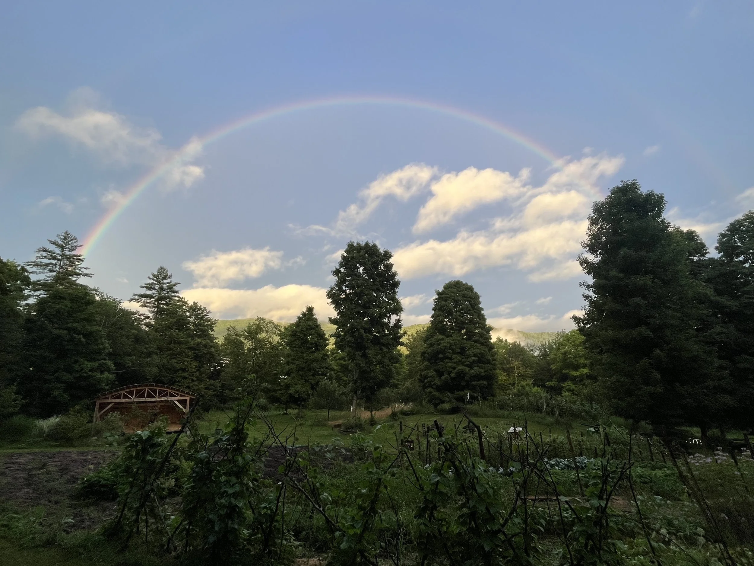 Sable Fundraising Dinner — The Sable Project