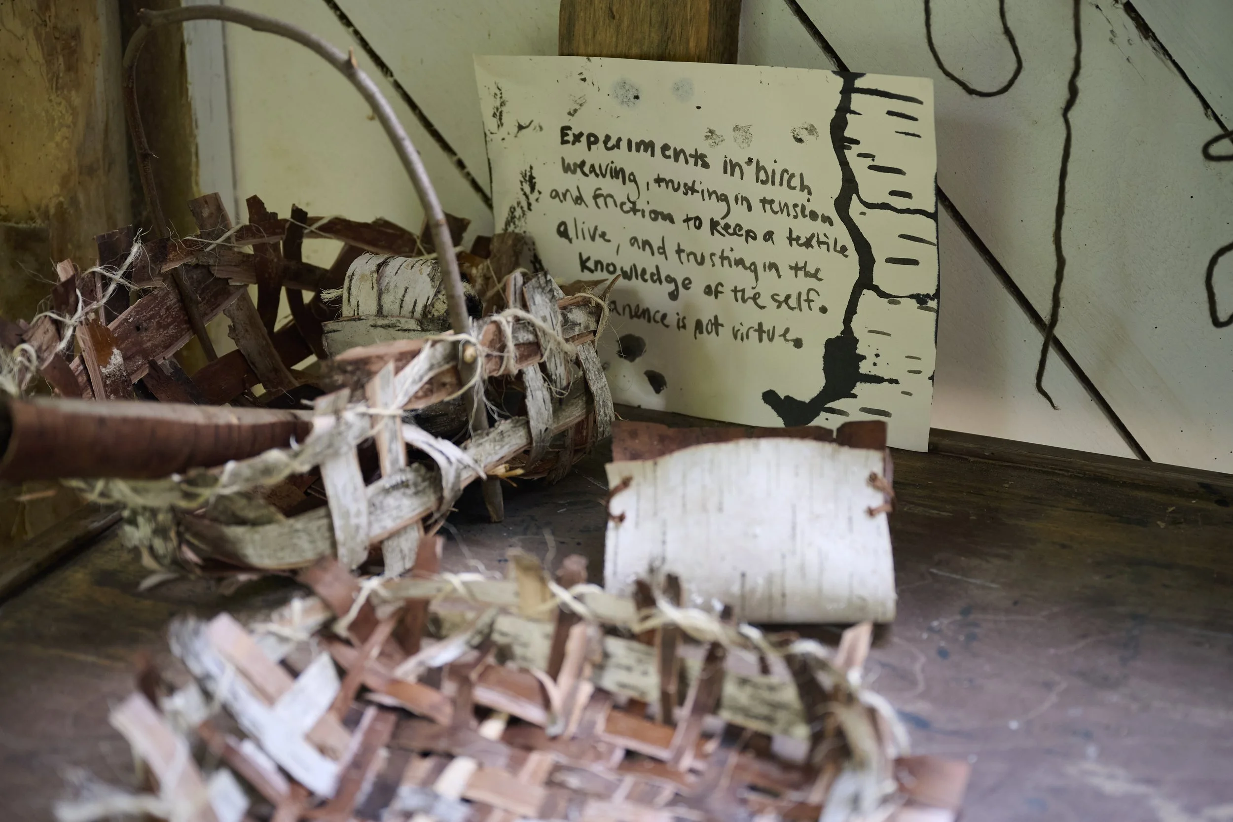 Allison Wray (Guest Artist) — The Sable Project