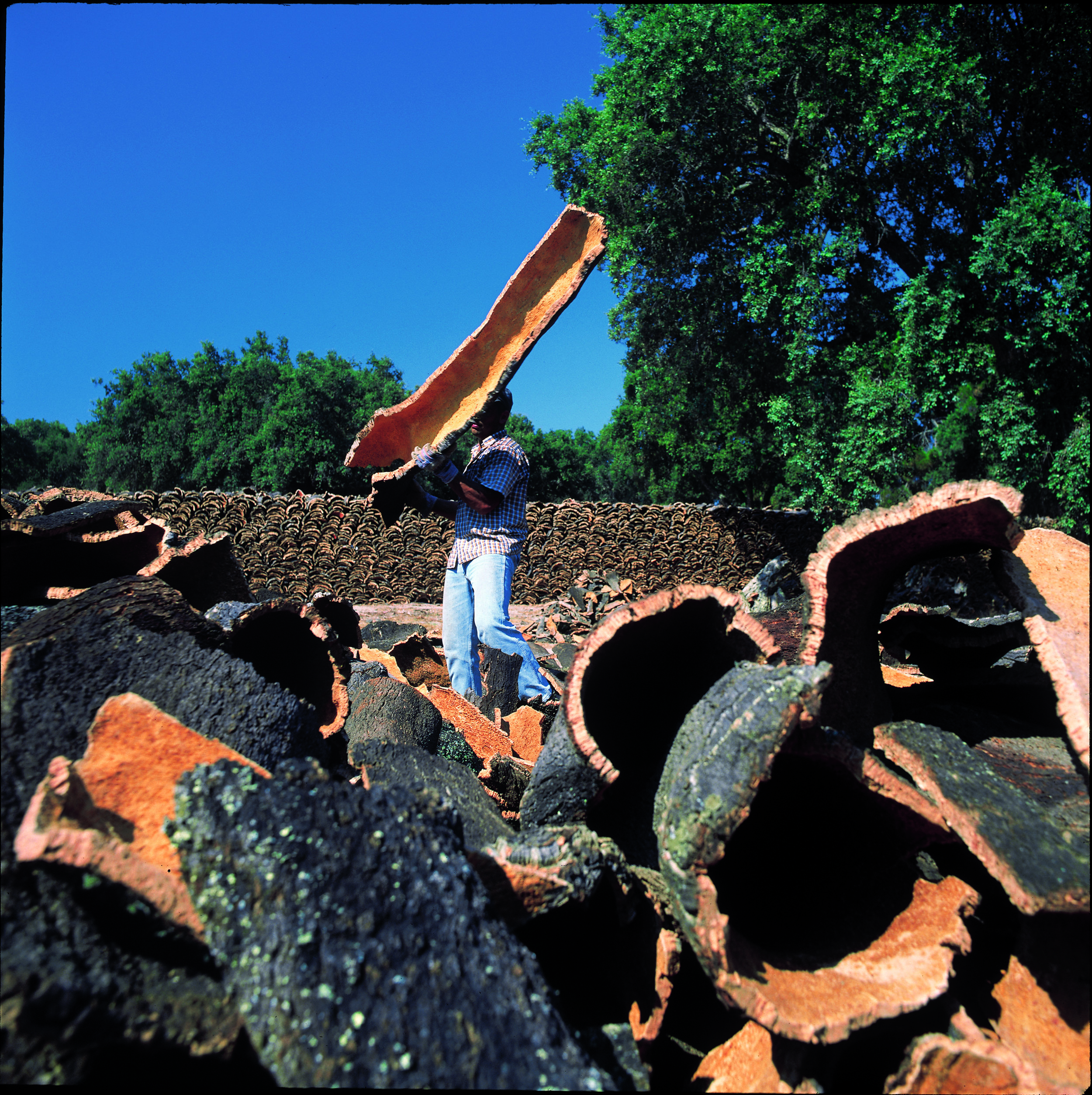 Harvested by Hand — Thermacork