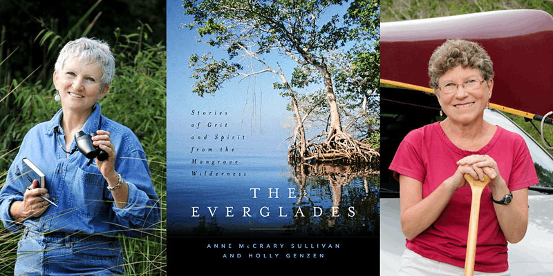 Independent Bookshop- New Books