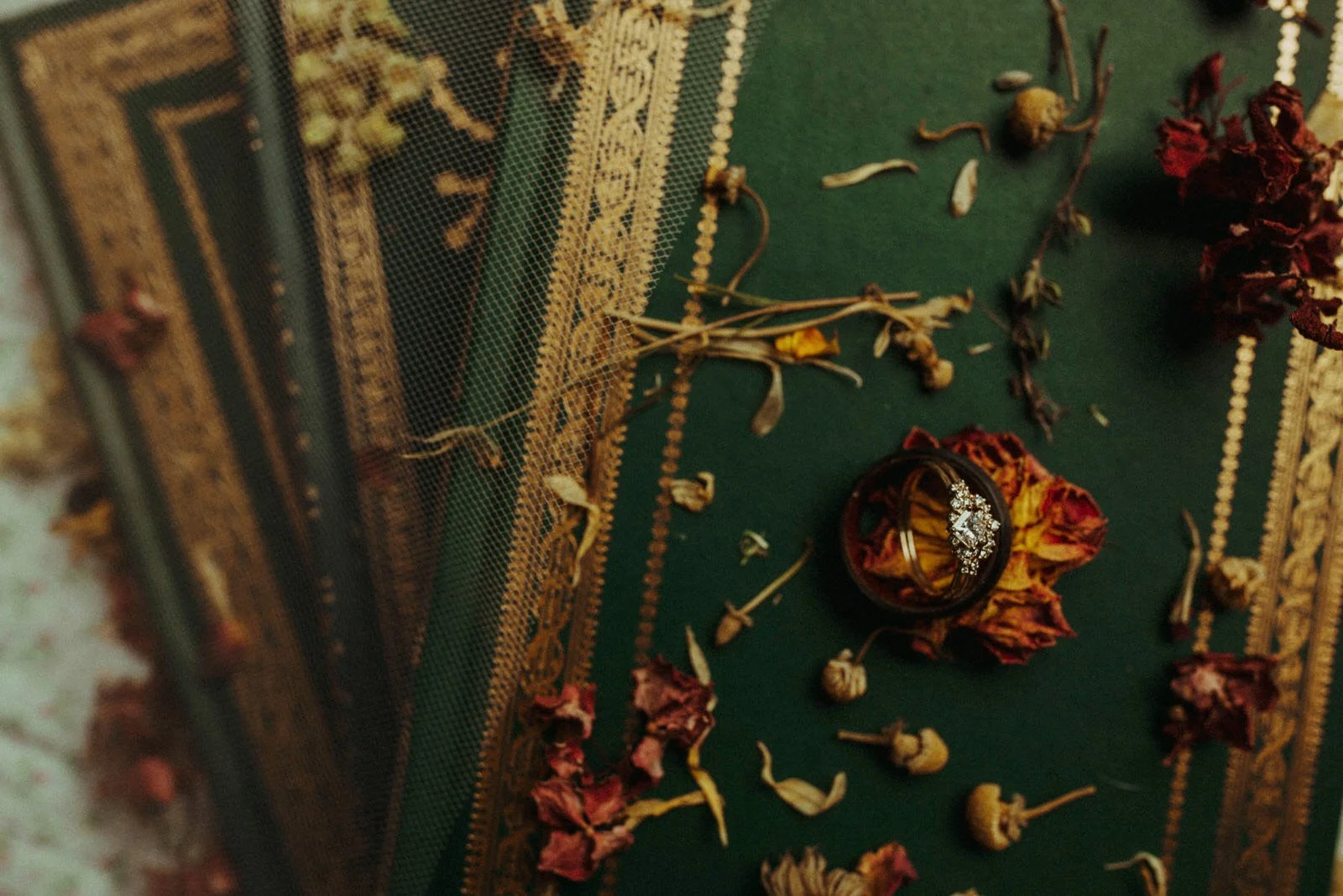 Kate & Calder Photography | Colorado Springs Elopement & Wedding ...