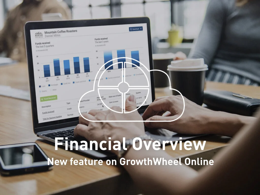 New feature: Simple PDF with Financial Overview — GrowthWheel