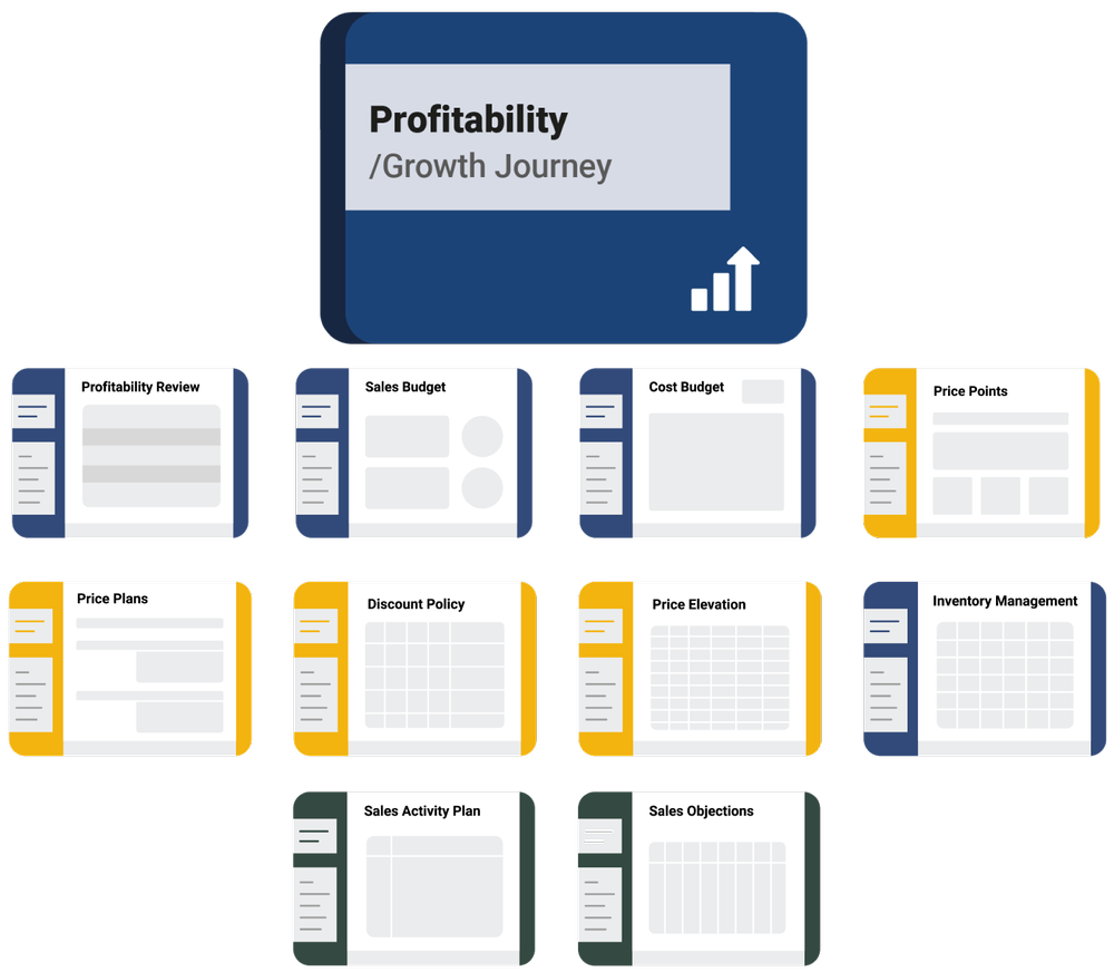 New Growth Journeys: Digital Transformation & Profitability — GrowthWheel