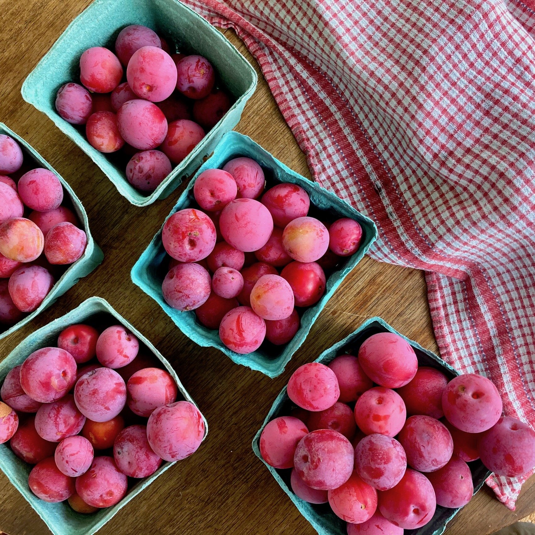 2020 Re-Vision, rev. ed. — ...an endless banquet