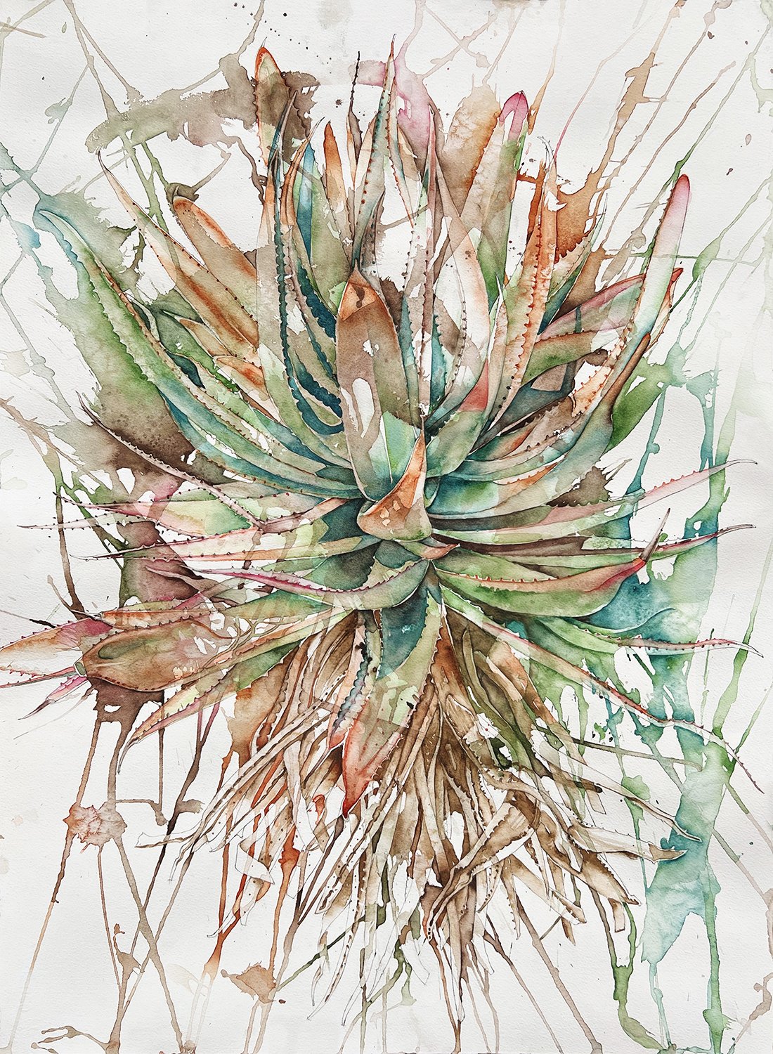 amber vanhatala stene • artist