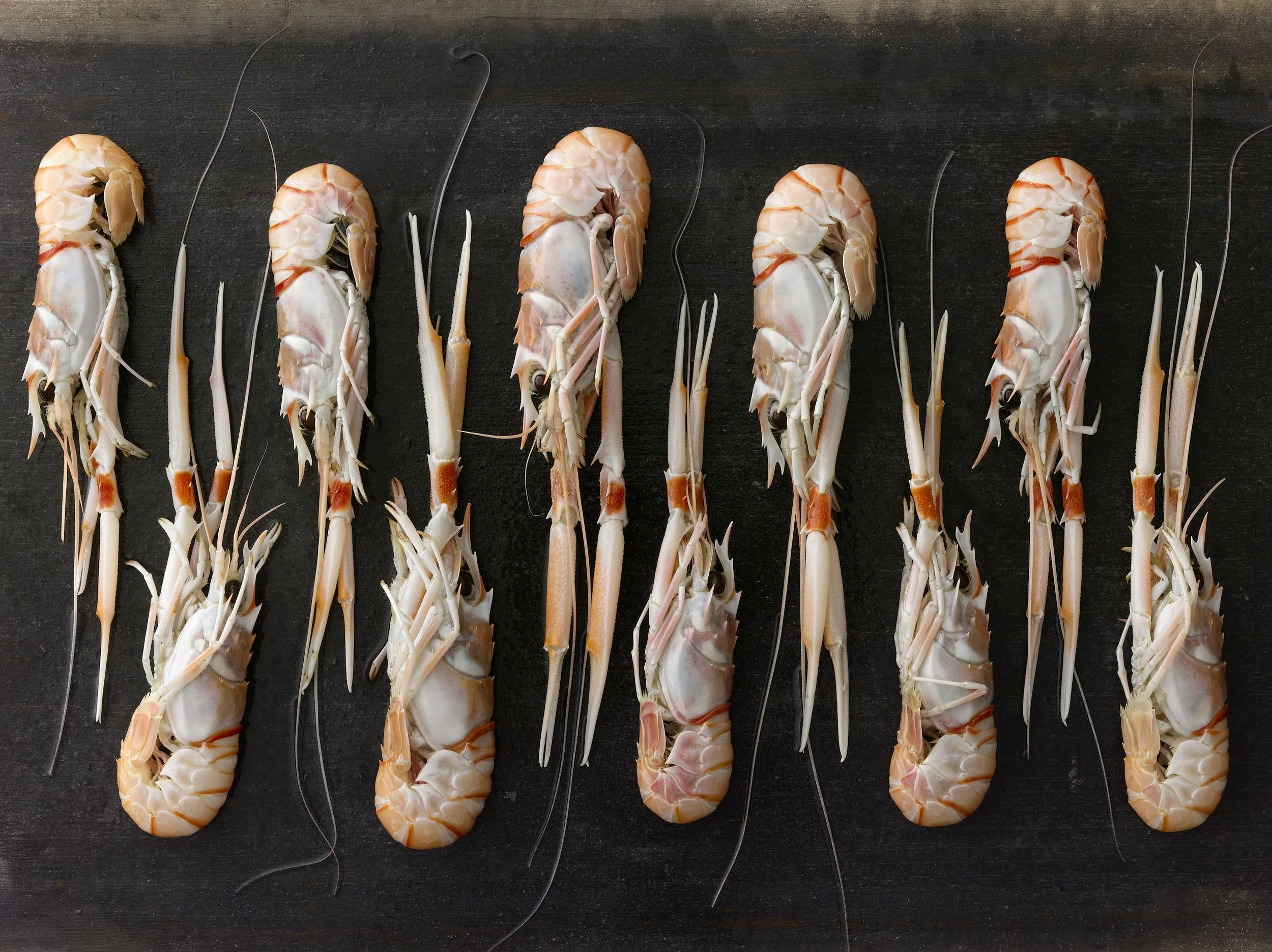 New Zealand Scampi — MARKFOODS