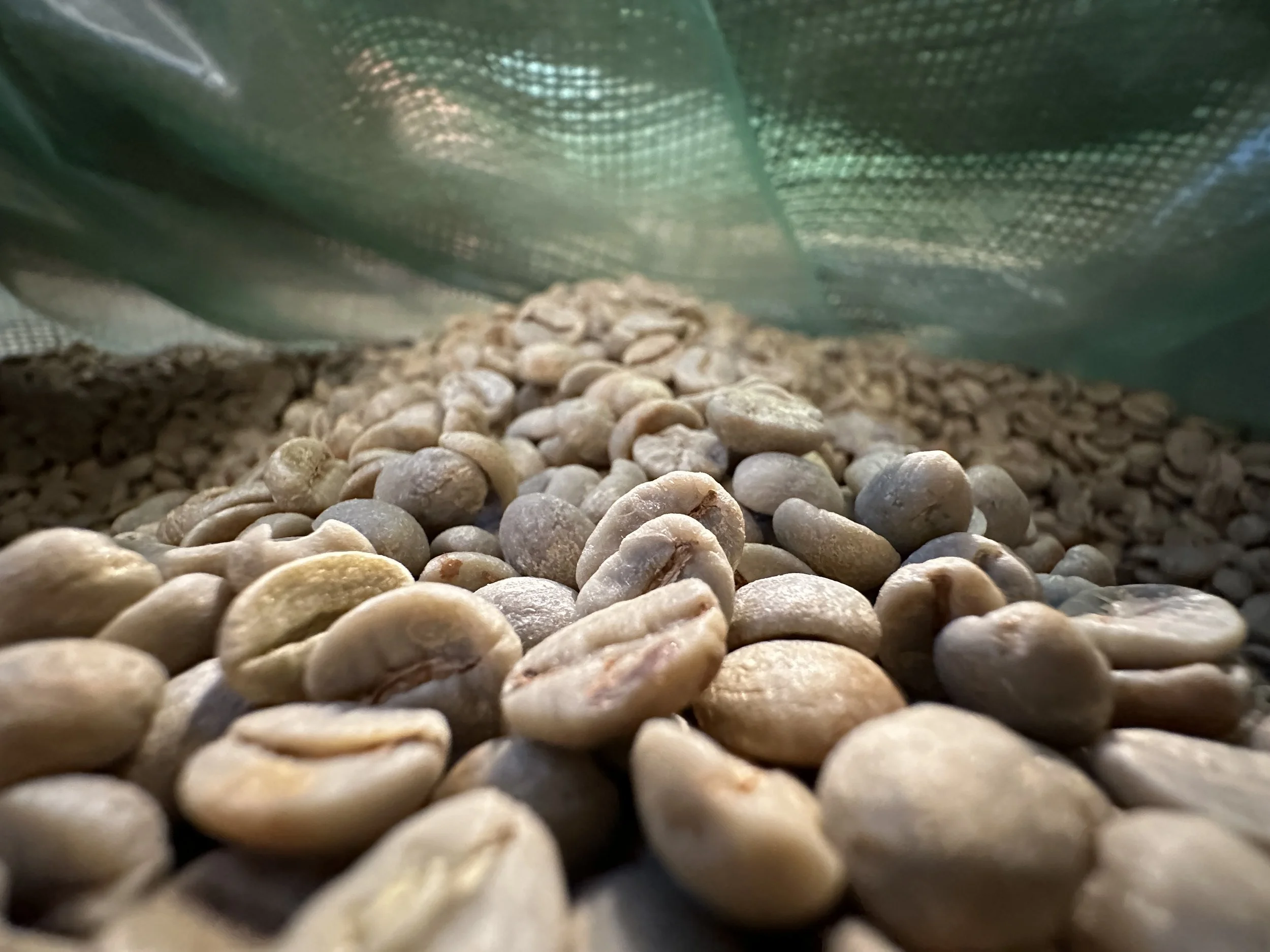 Bestill kaffe // Nettbutikk — Langøra Kaffebrenneri