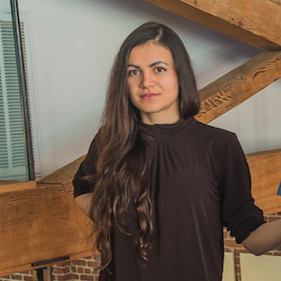 La Fornarina: A Beautiful Woman, the Myth of the Artist and the Muse ...