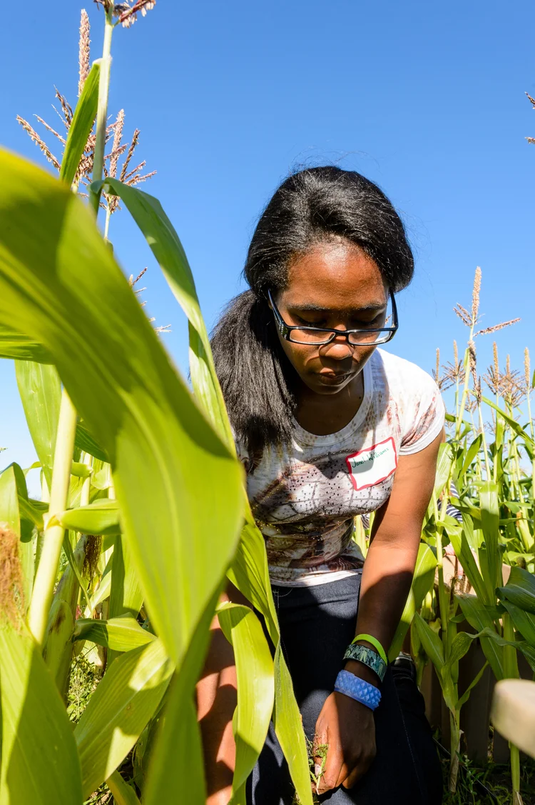 Match More — Match Charter Public School