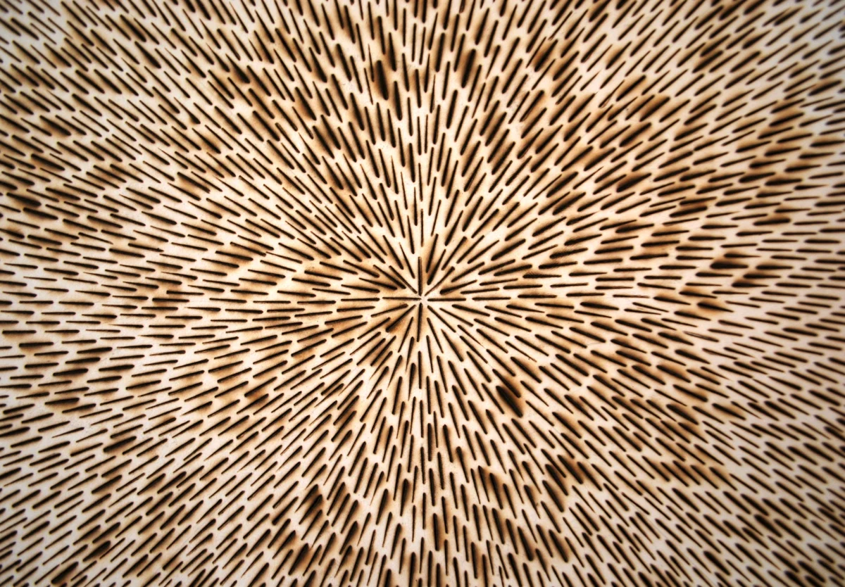 ORBITS — Katrine Hildebrandt