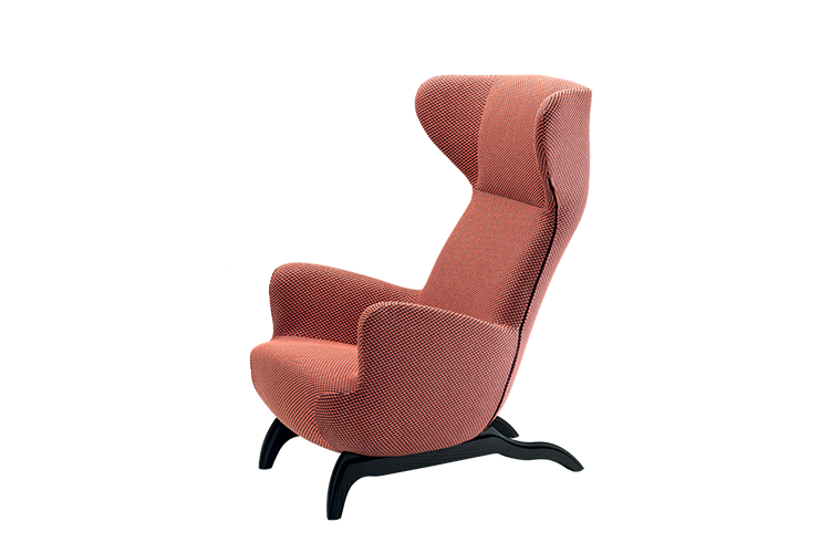 Ardea — IN-EX