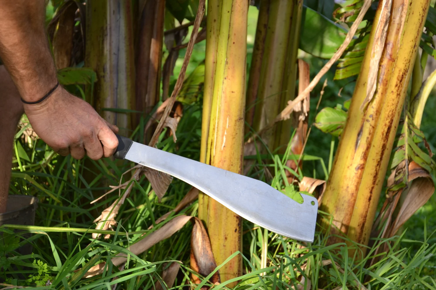 Garden Machete Nz | Fasci Garden