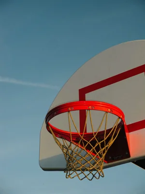 Blog — RICARDO FRANZEN