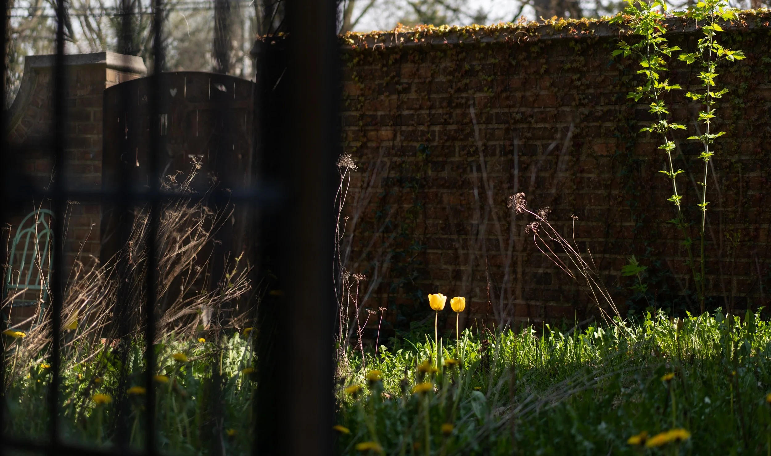 Cranbrook: Year II — Arno Goetz