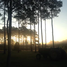 Greenlands Farm