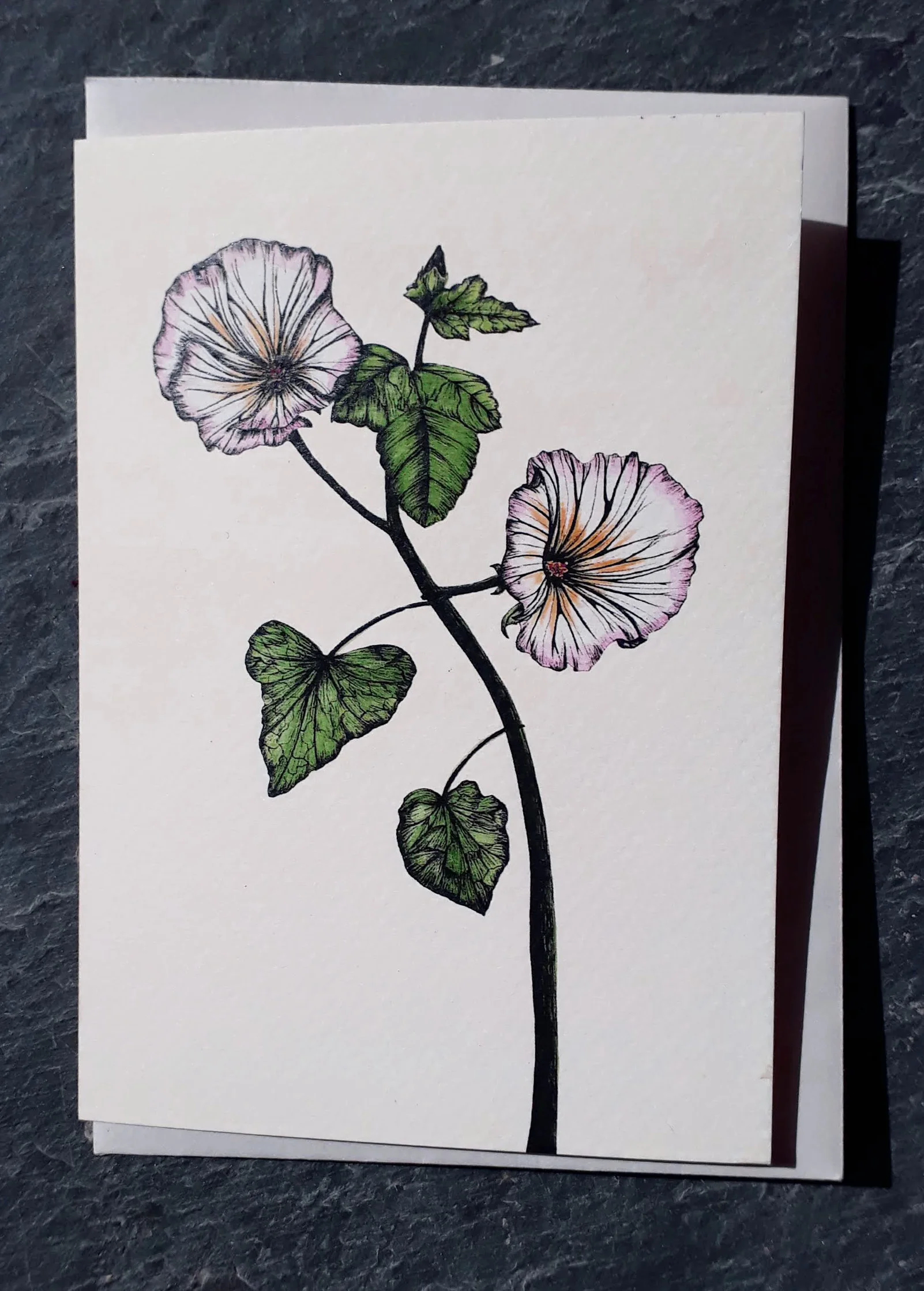 BOTANICAL cards - 6 pack — Design by Delphine Jones