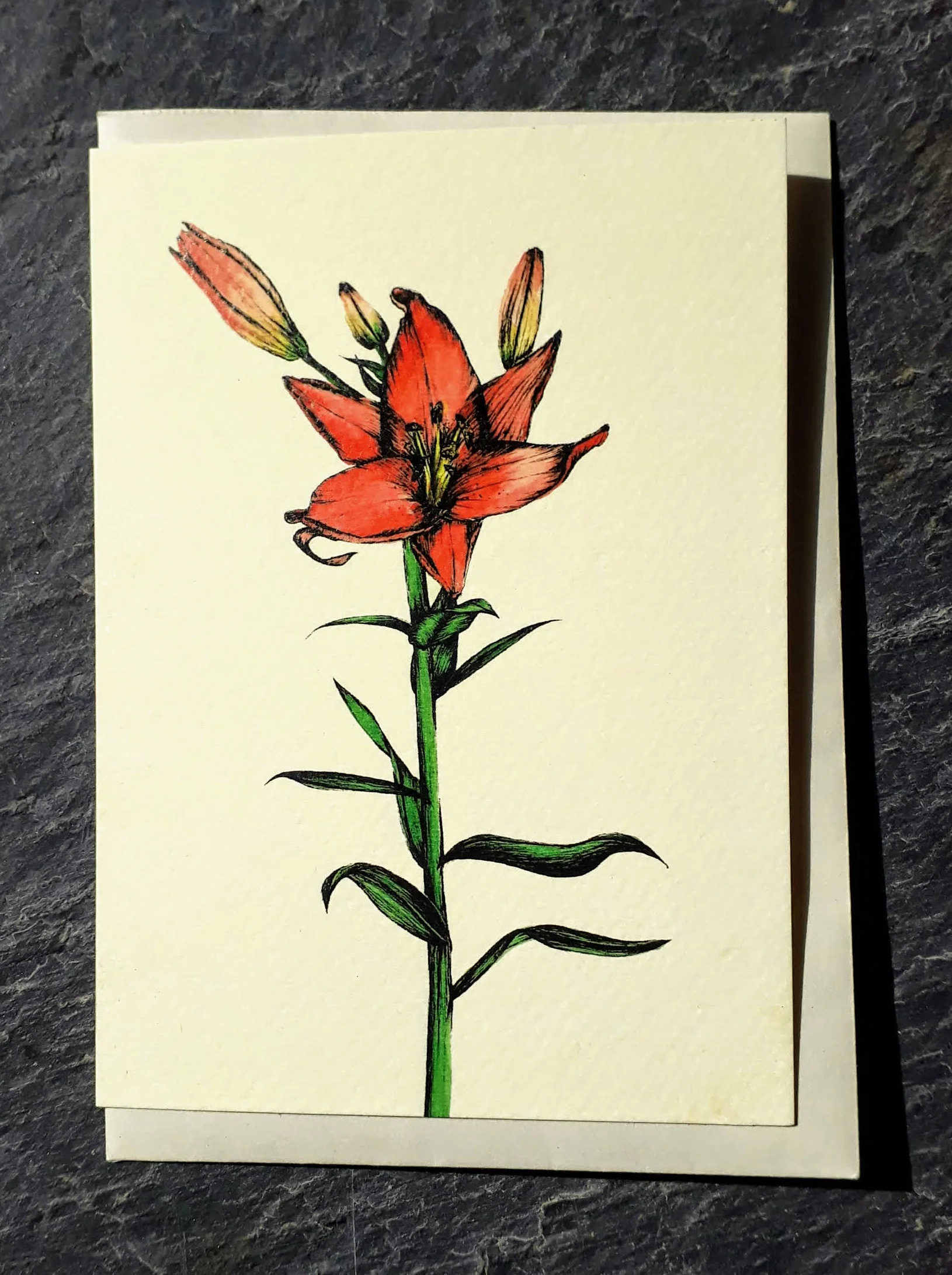 BOTANICAL cards - 6 pack — Design by Delphine Jones