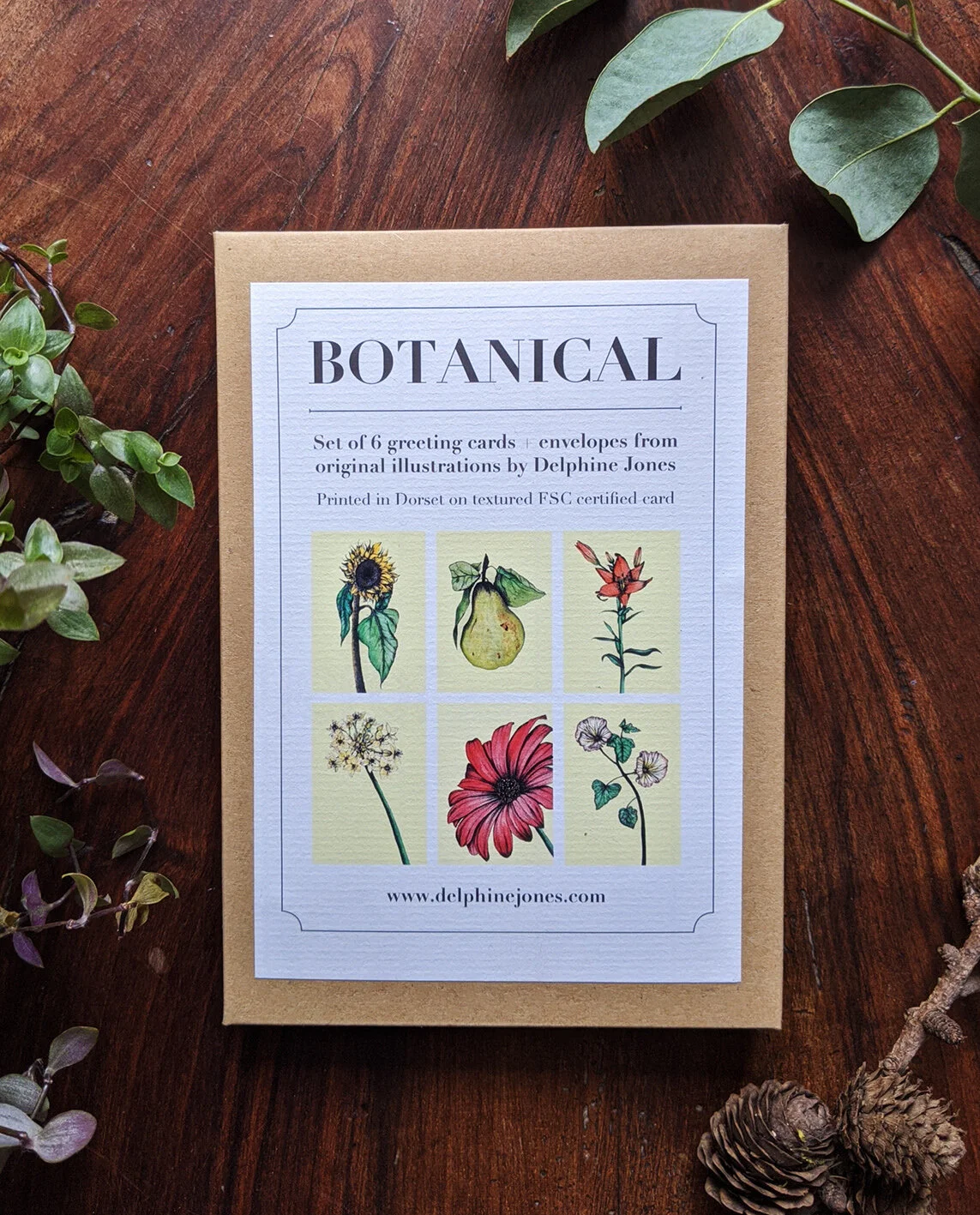 BOTANICAL cards - 6 pack — Design by Delphine Jones