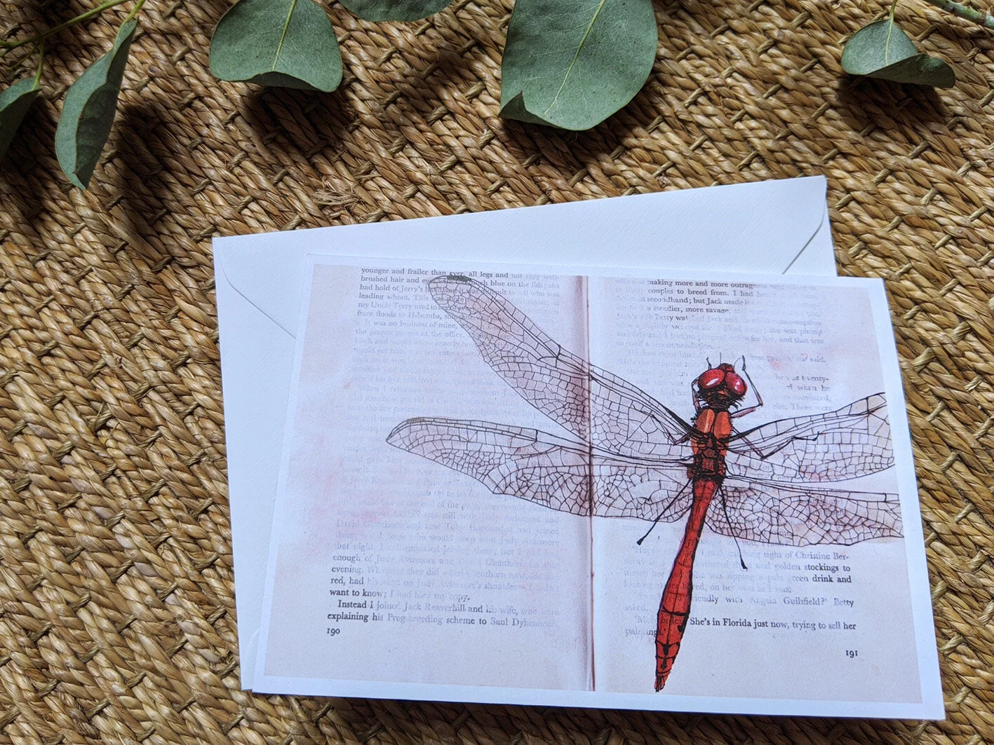 INSECTS cards - 6 pack — Design by Delphine Jones