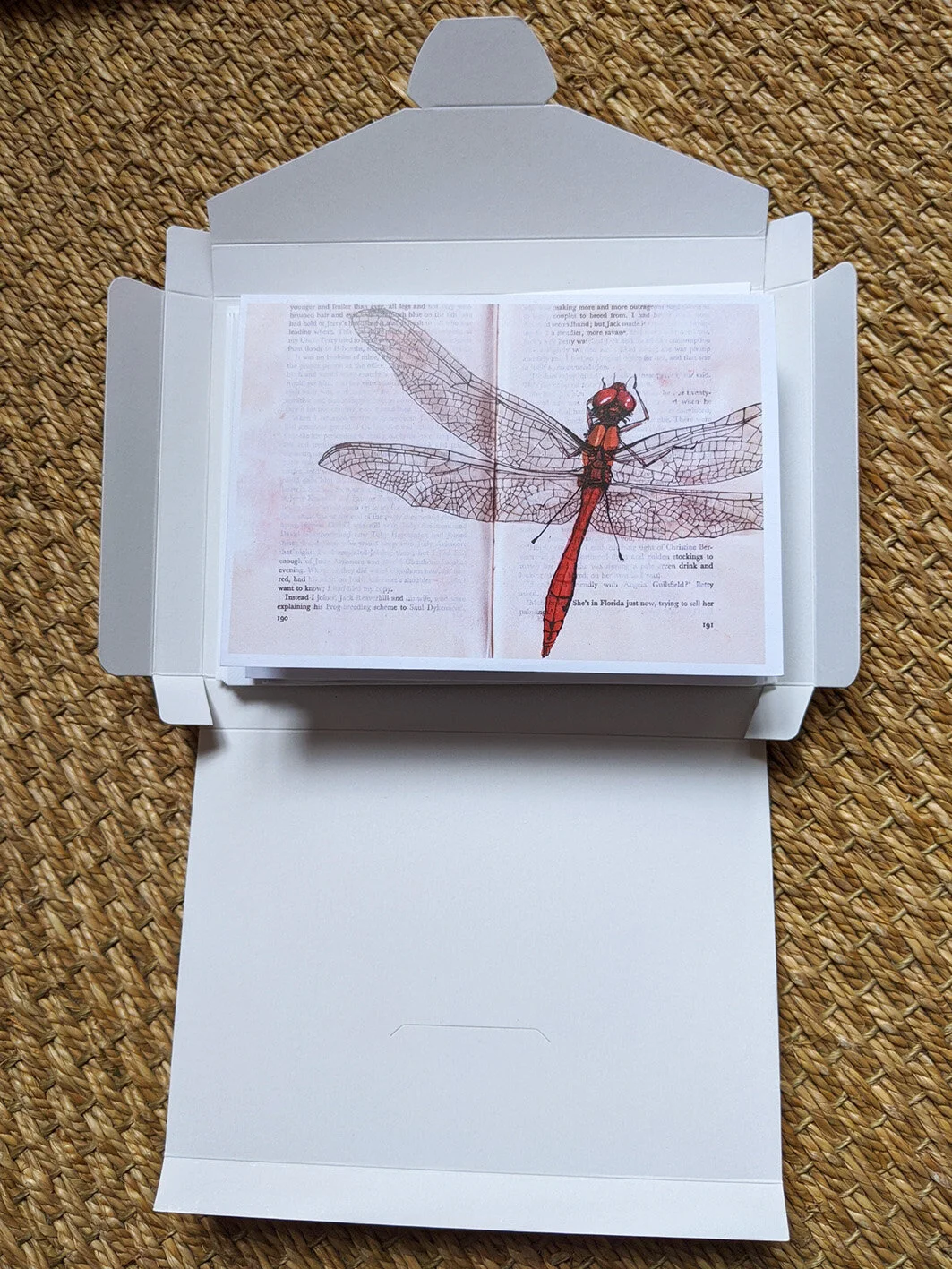 INSECTS cards - 6 pack — Design by Delphine Jones