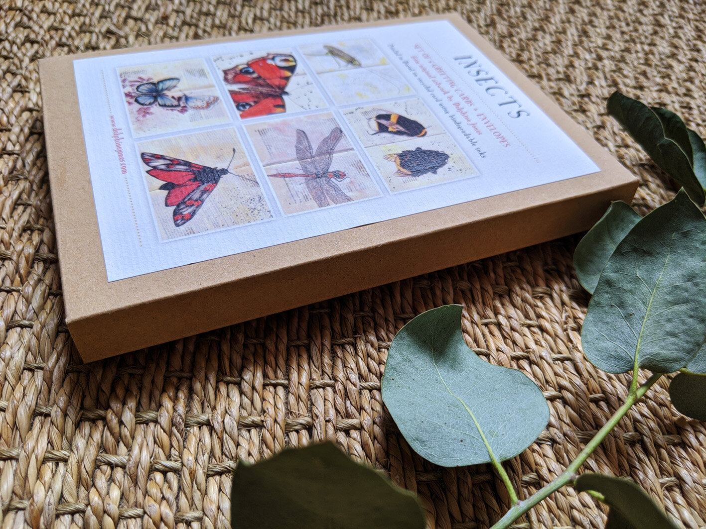 INSECTS cards - 6 pack — Design by Delphine Jones