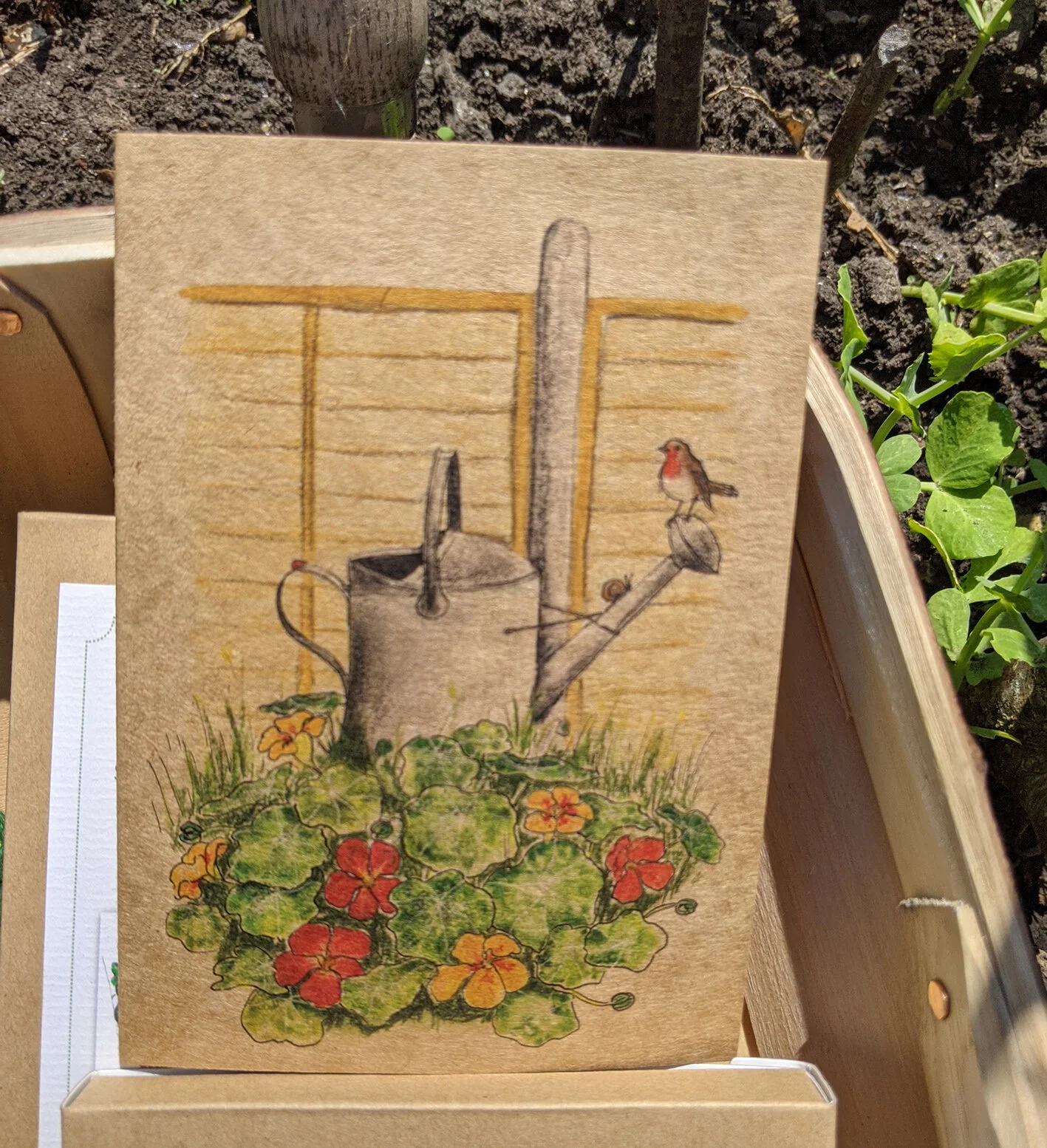 ALLOTMENT cards - 6 pack — Design by Delphine Jones