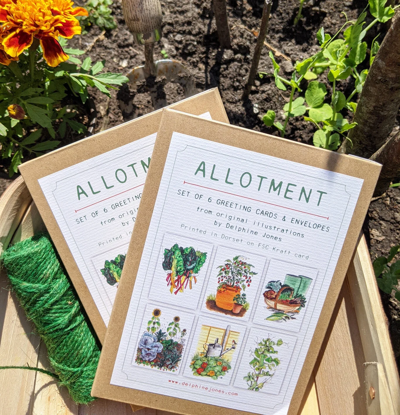 ALLOTMENT cards - 6 pack — Design by Delphine Jones