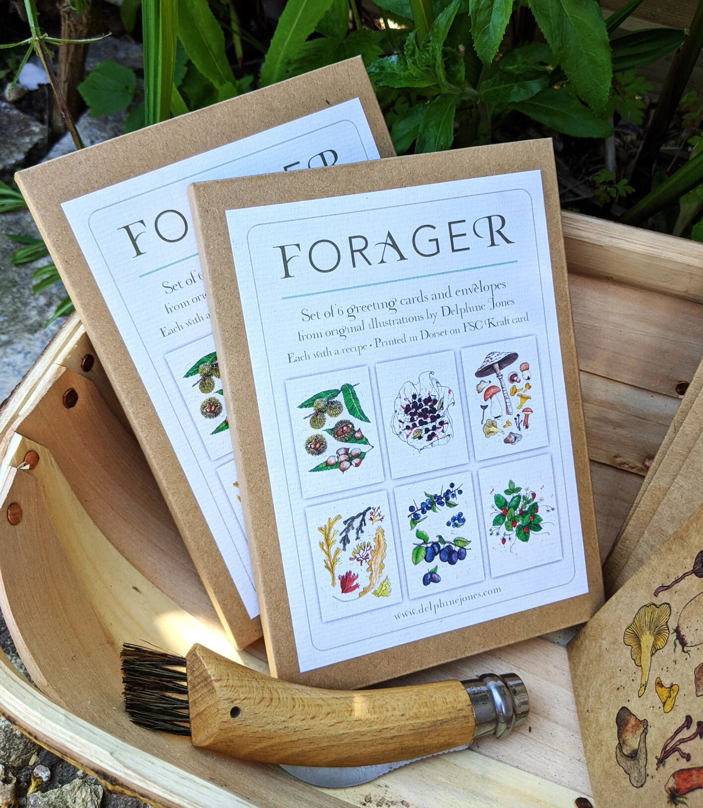 FORAGER cards - 6 pack — Design by Delphine Jones