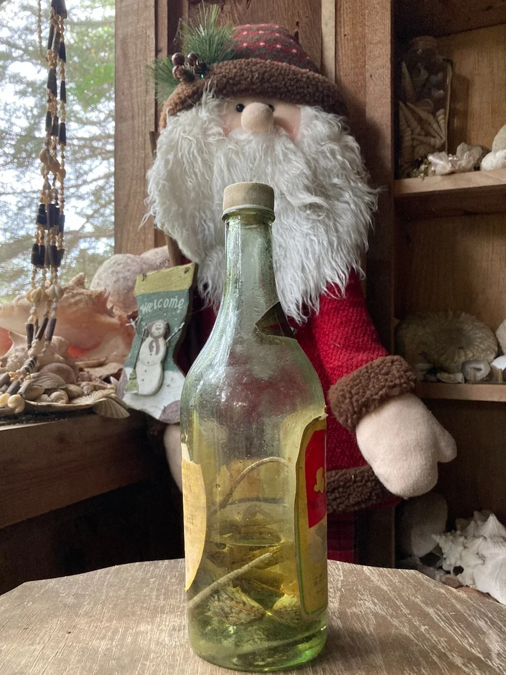 Notes From Country, Cajun and Bluegrass’ Far Western Bureau With Caleb ...