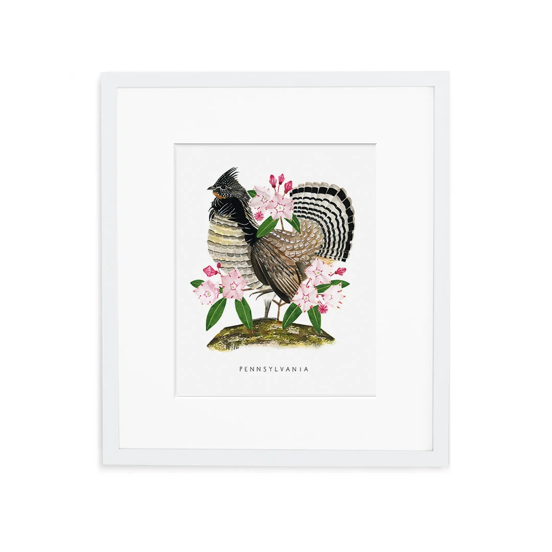 May We Fly — Framing Guide