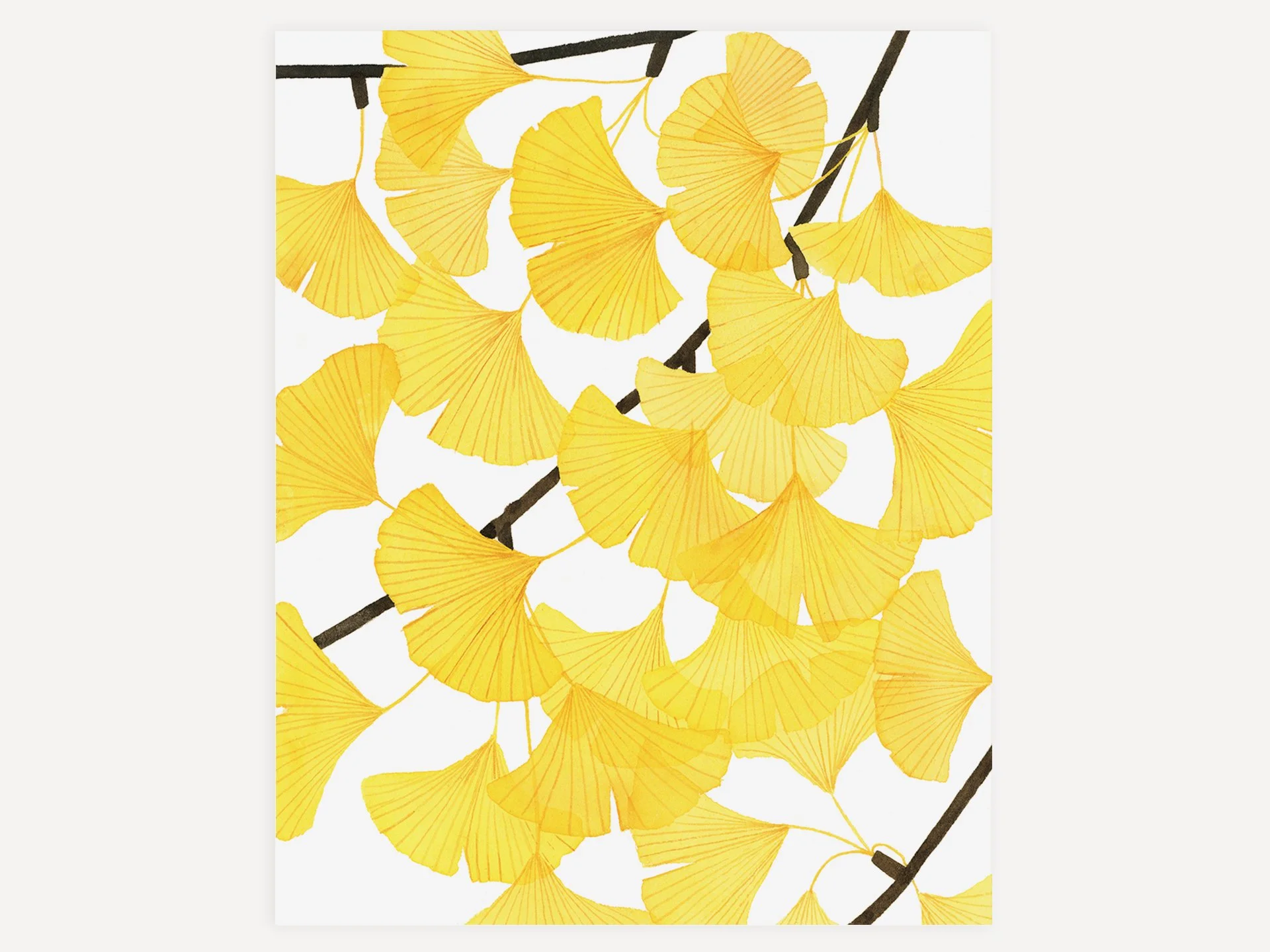 Ginkgo Leaf Pattern