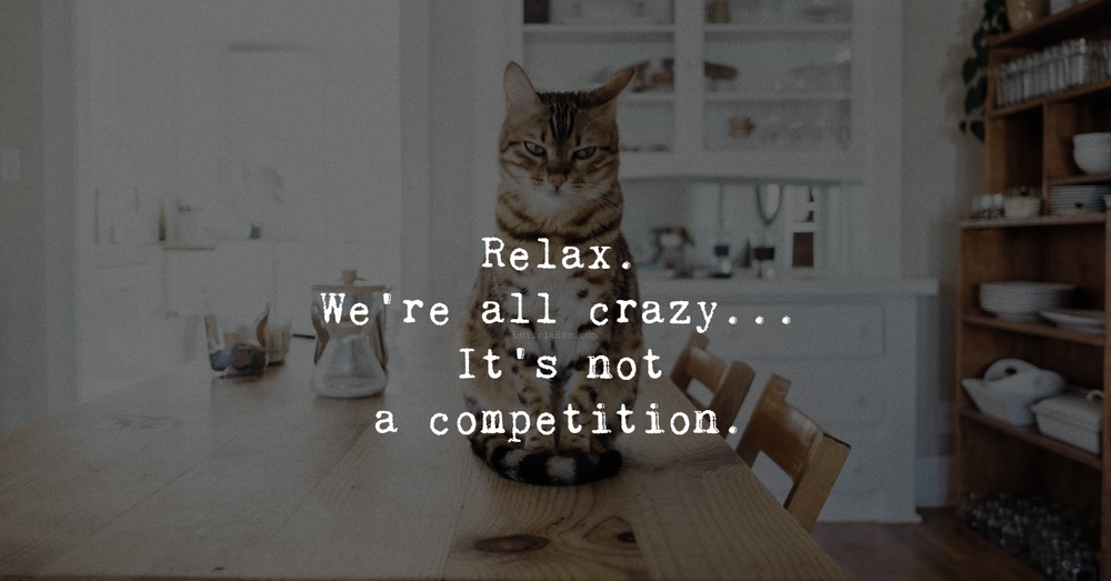 Crazy Cat Pictures With Captions
