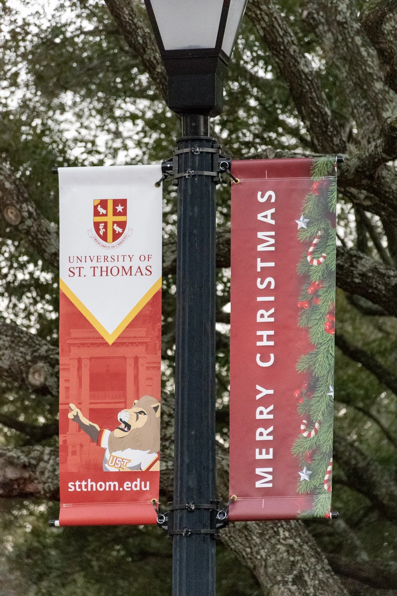 Custom Signage Solutions by Saifee Signs Elevate University of St ...