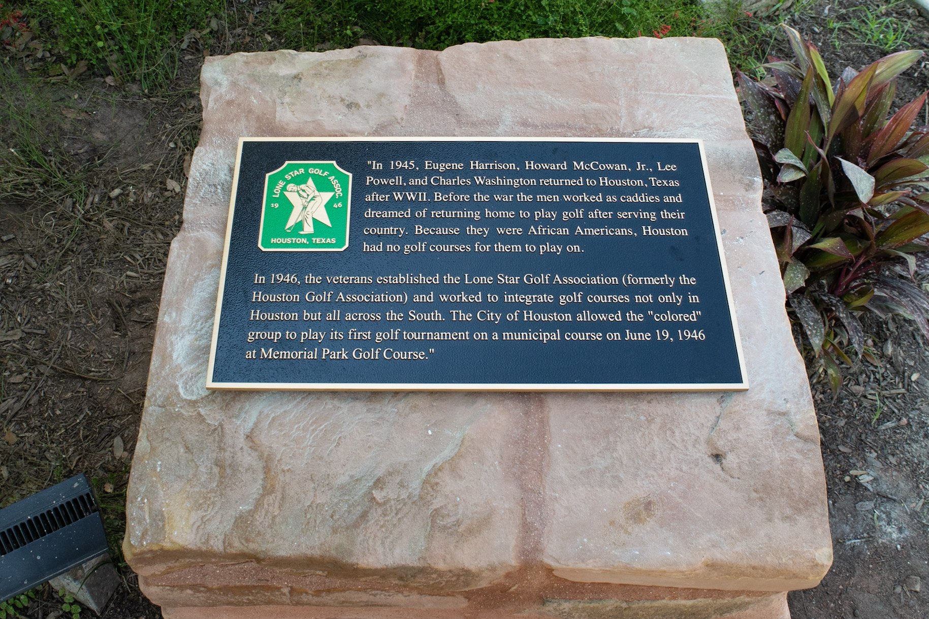 Mastering Wayfinding Signage: The Complete Overview | Saifee Signs