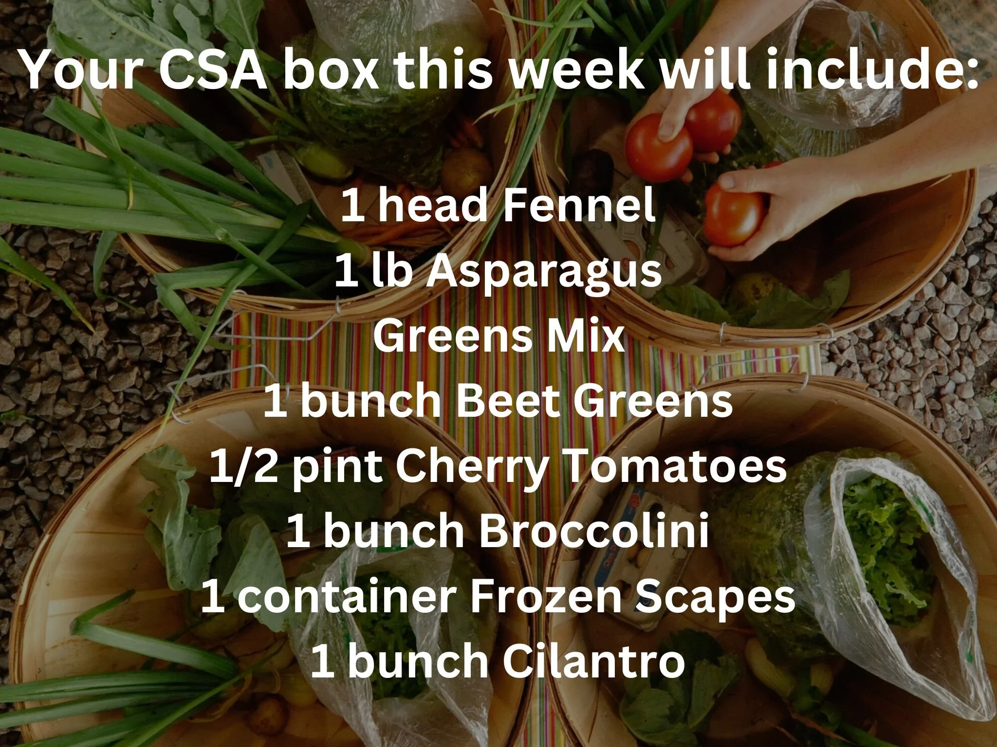 CSA: Spring 2024 — Meadowstone Farm