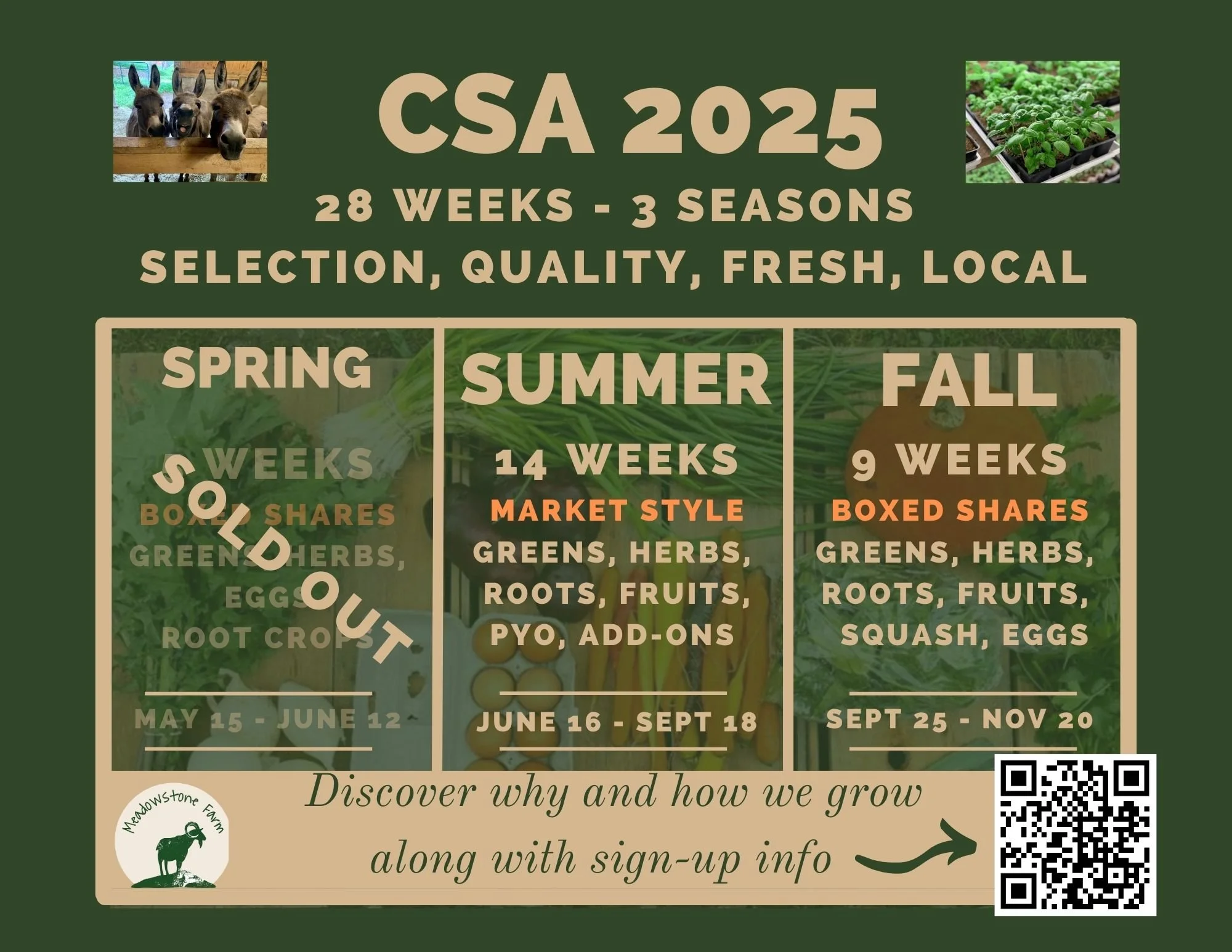 CSA 2025 — Meadowstone Farm