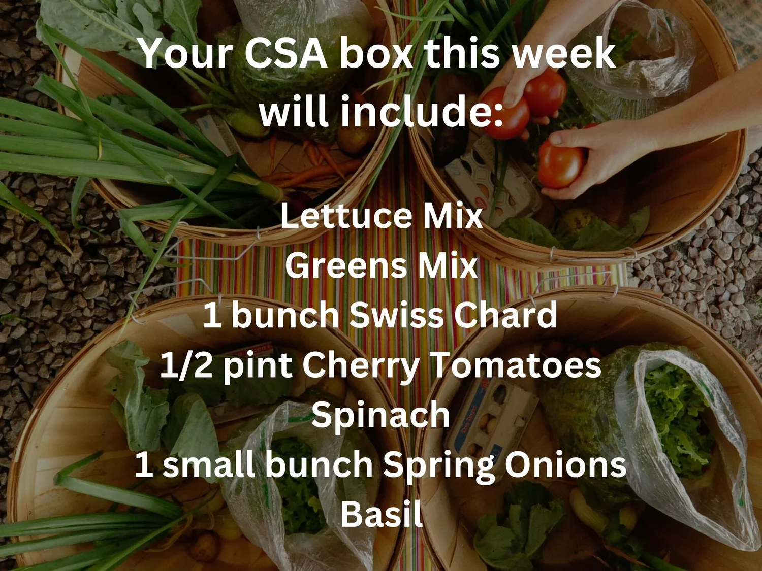 CSA: Spring 2024 — Meadowstone Farm