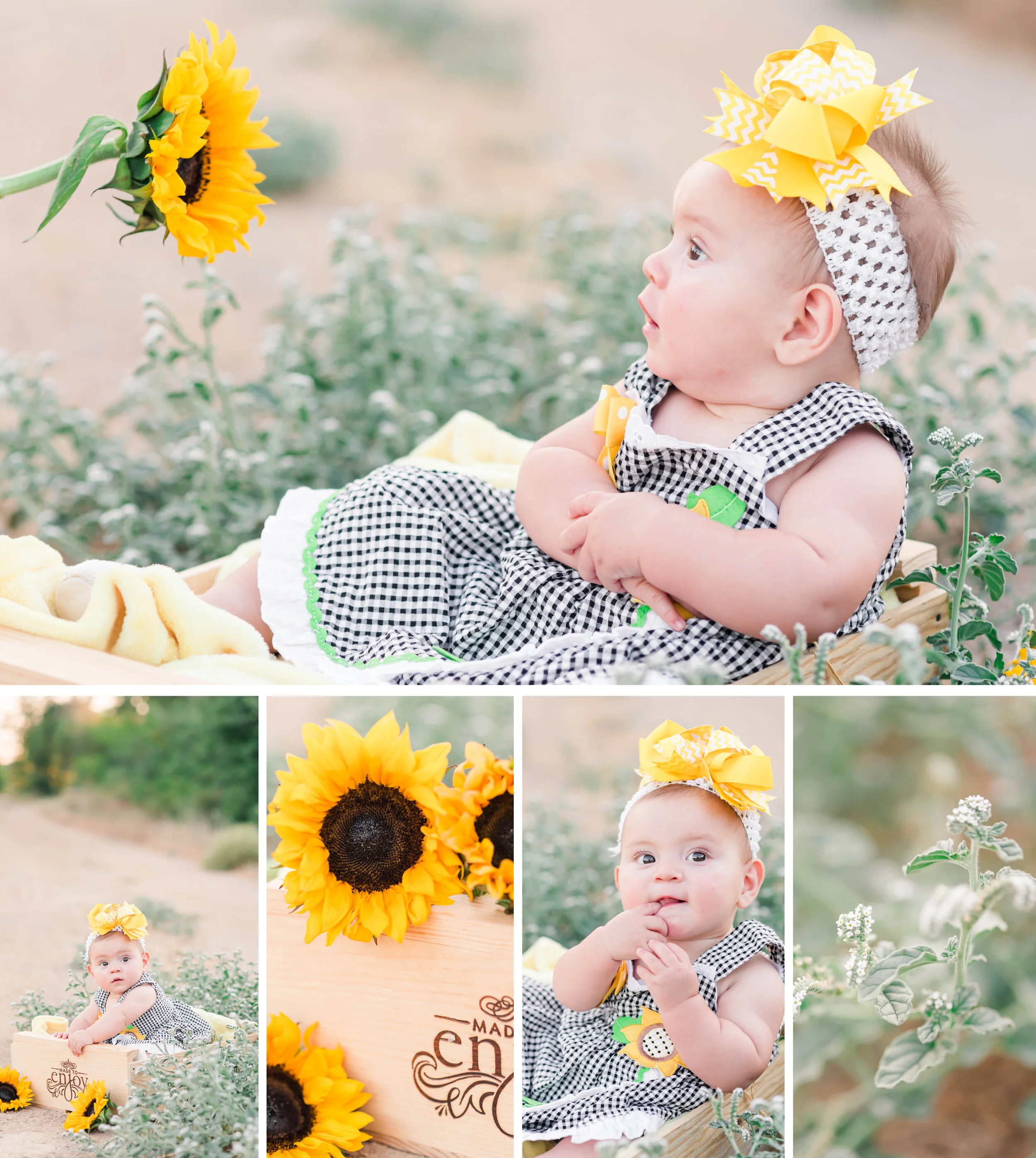 Summertime Sunflower Baby — Jen Peterson Photography