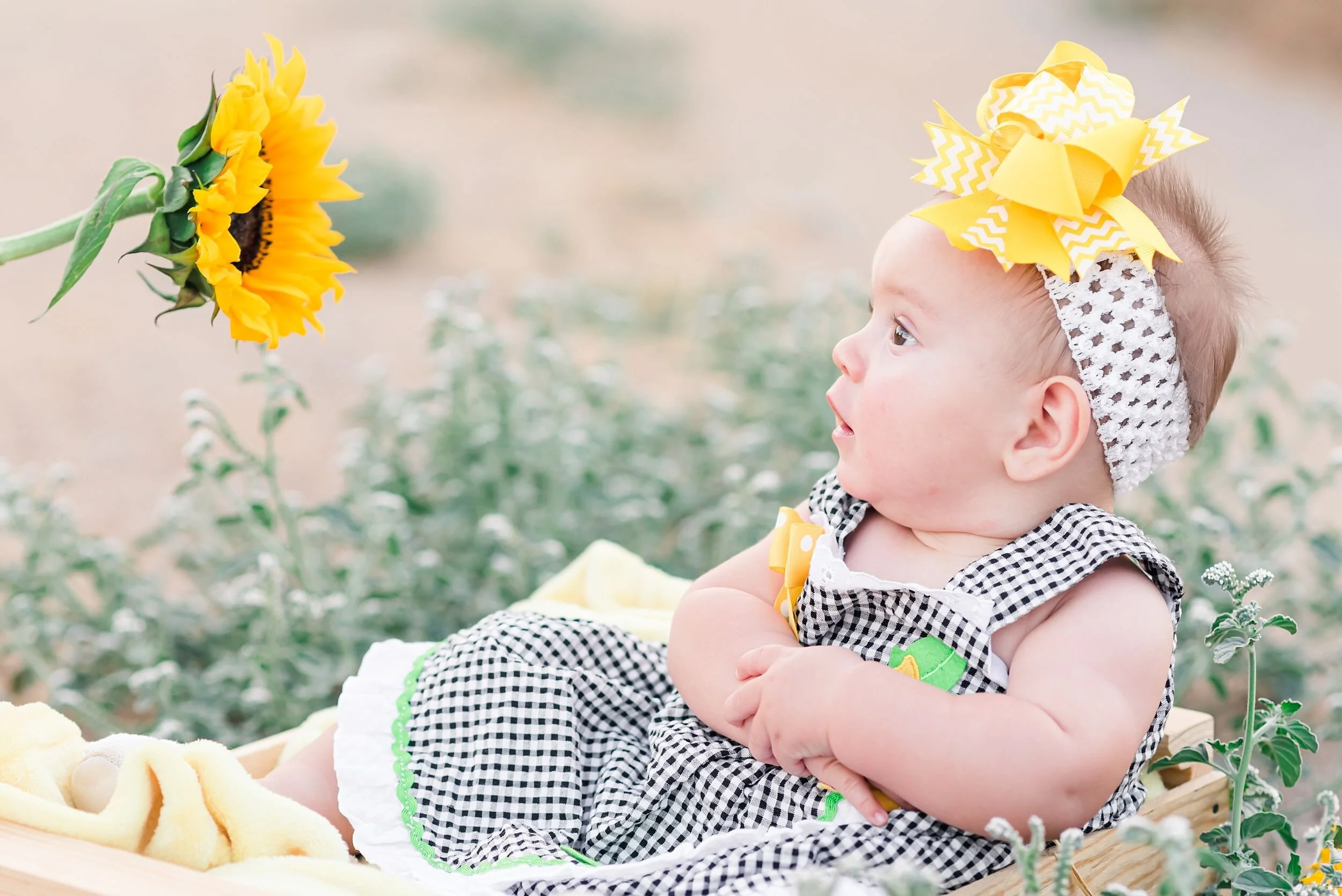 Summertime Sunflower Baby — Jen Peterson Photography