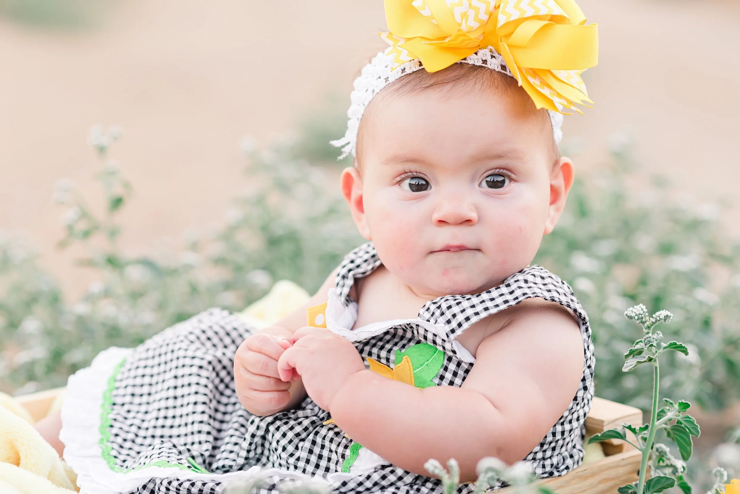 Summertime Sunflower Baby — Jen Peterson Photography