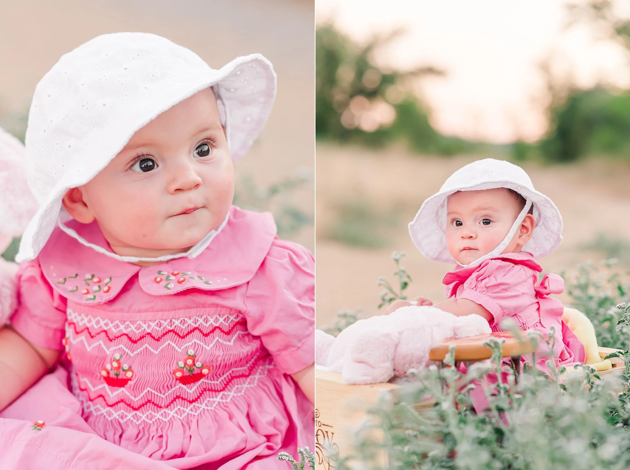 Summertime Sunflower Baby — Jen Peterson Photography