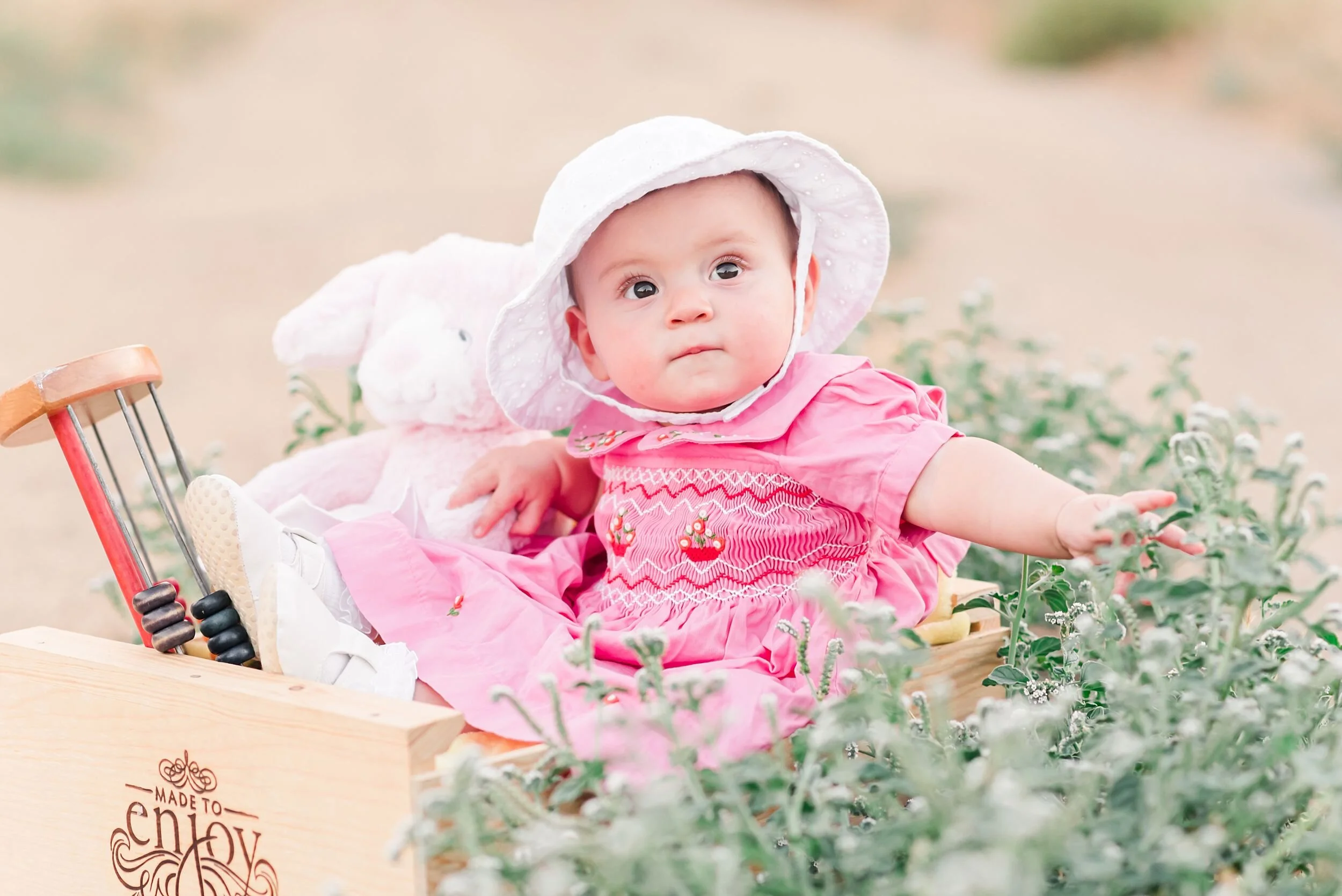 Summertime Sunflower Baby — Jen Peterson Photography
