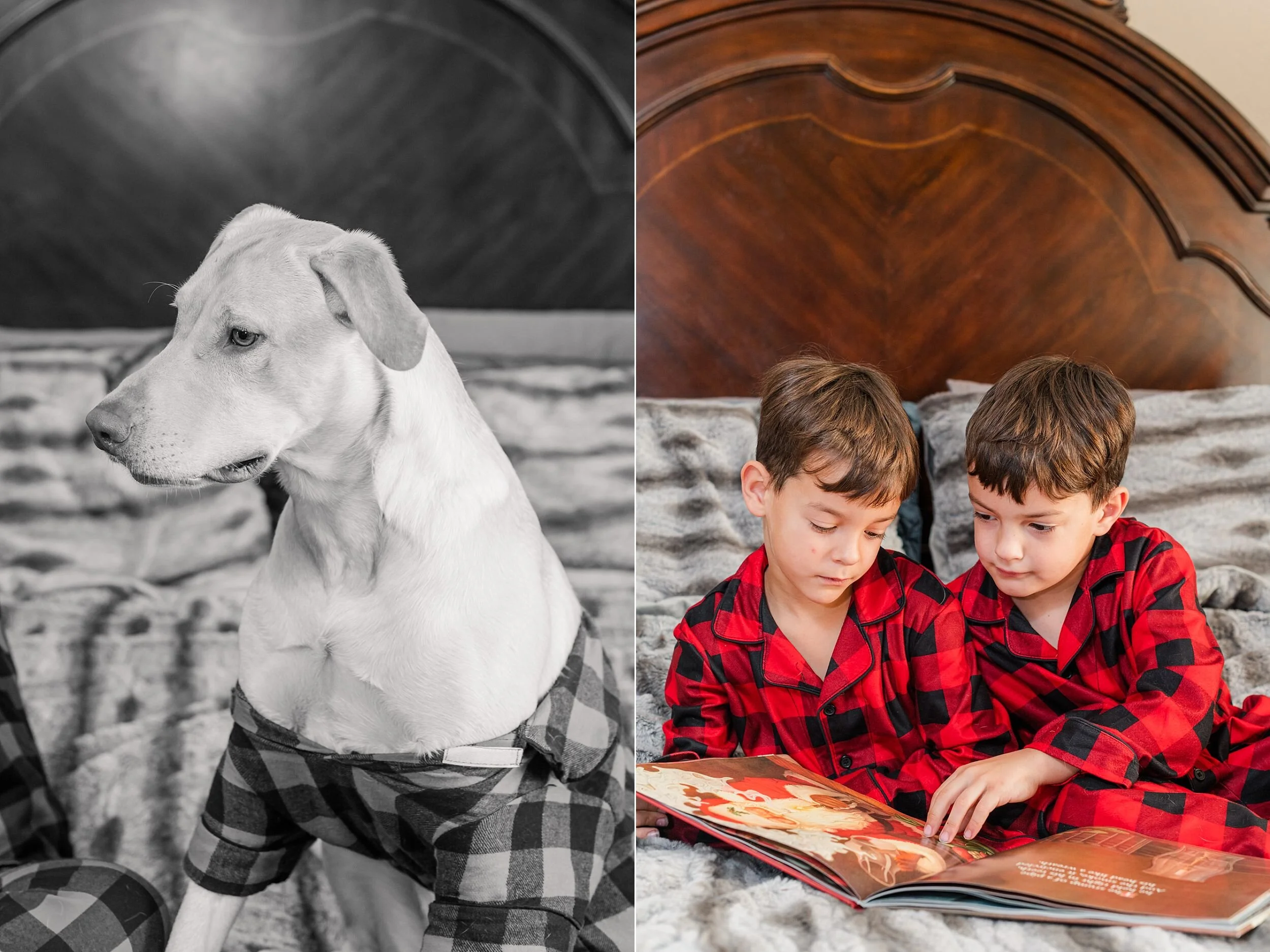 Christmas Pajama Session | Redding Family Photographer — Jen Peterson ...