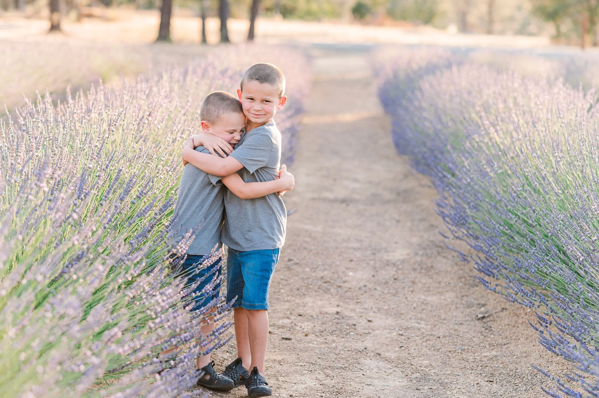 Lavender Field Family Session | Buick Family — Jen Peterson Photography