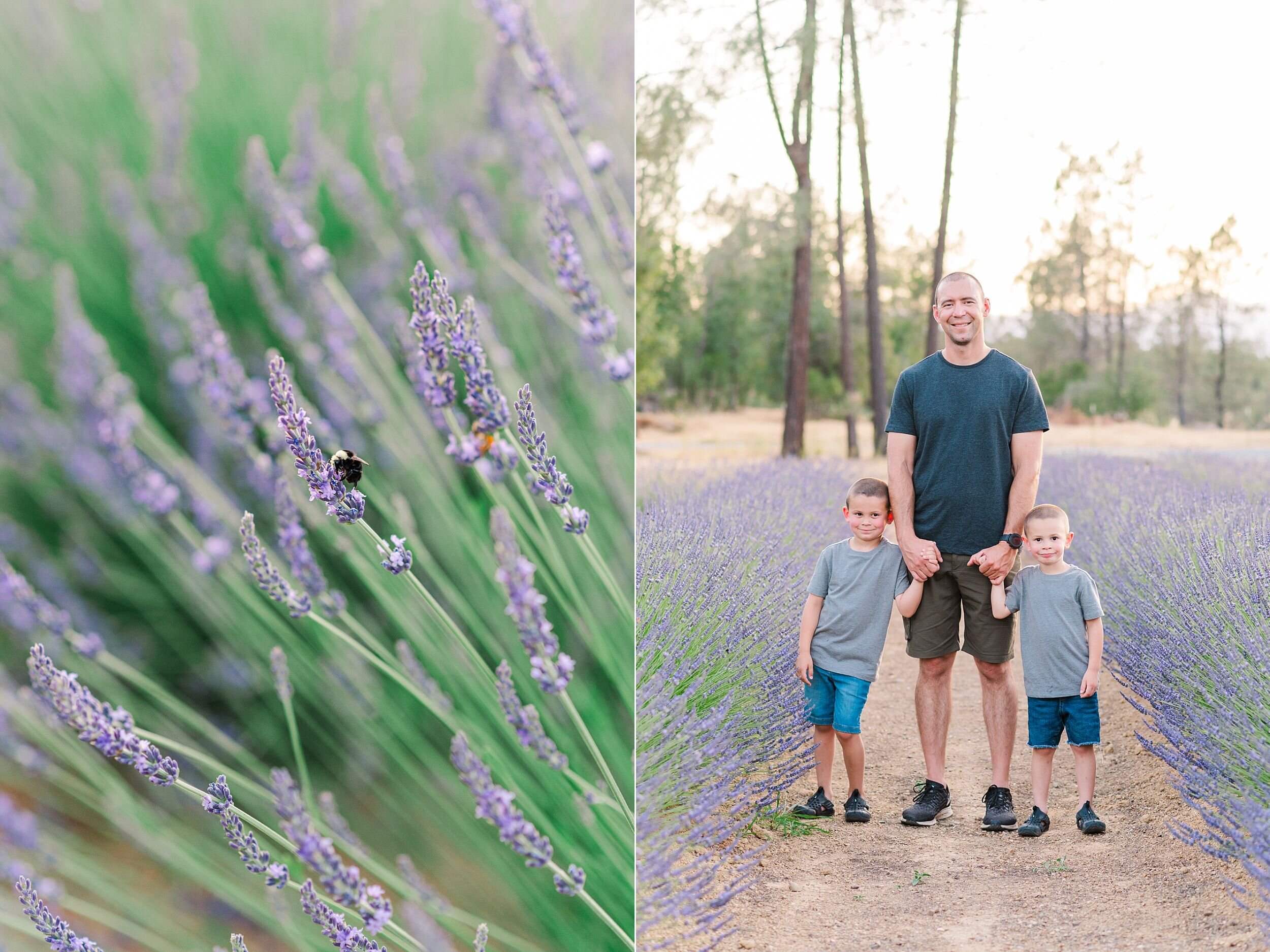 Lavender Field Family Session | Buick Family — Jen Peterson Photography