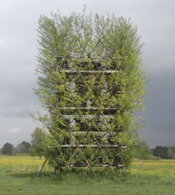 Baubotanic Germany Living Structures — Chris Bribach Botanical Builder